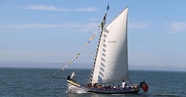 Passeio Exclusivo de Barco à Vela de 1h, até 12 Pessoas por 80€ no Tejo ...